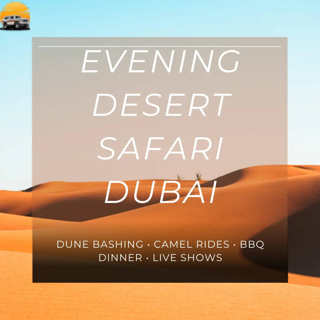 Evening Desert tours